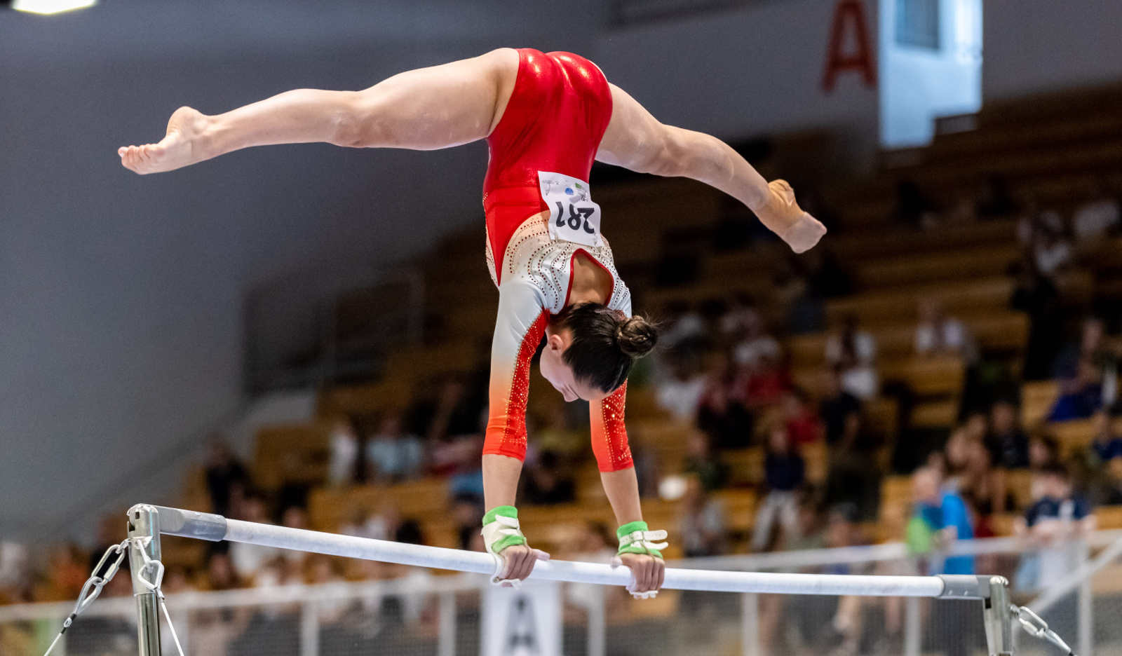Angela Pennisi | The Gymternet