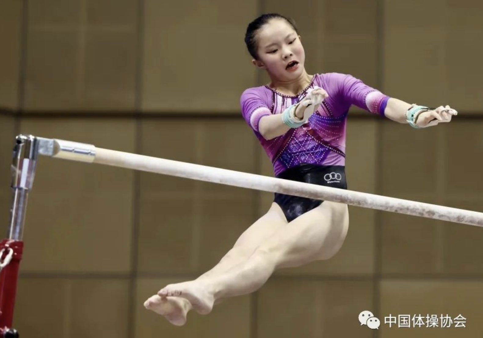 Zhang Yihan | The Gymternet